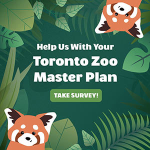 Toronto Zoo | Membership